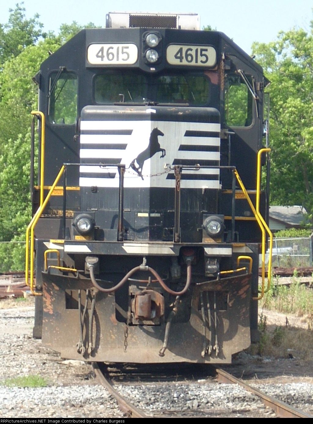 NS 4615